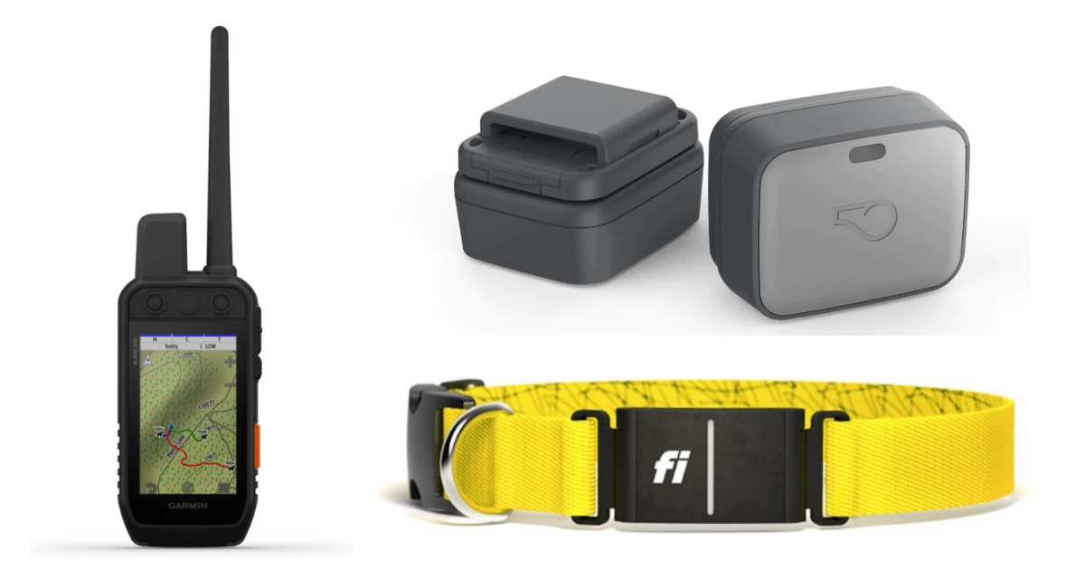 The Best GPS Trackers for Dogs - TK Hot Kennels